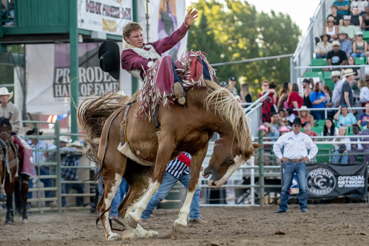 PHOTOS: Giddy up! Riders, residents, enthusiasts join together at Ogden ...